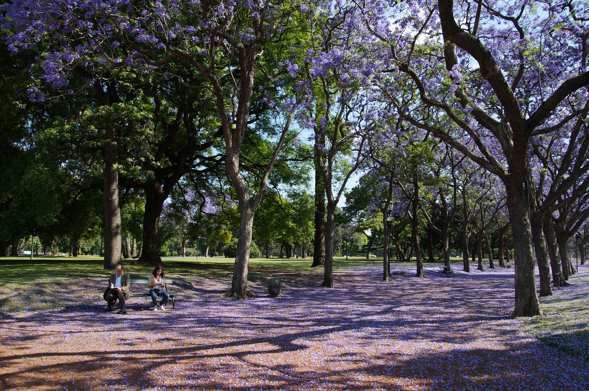 Kids Activities And Ideas To Enjoying Your Surroundings - Vacation Care ...